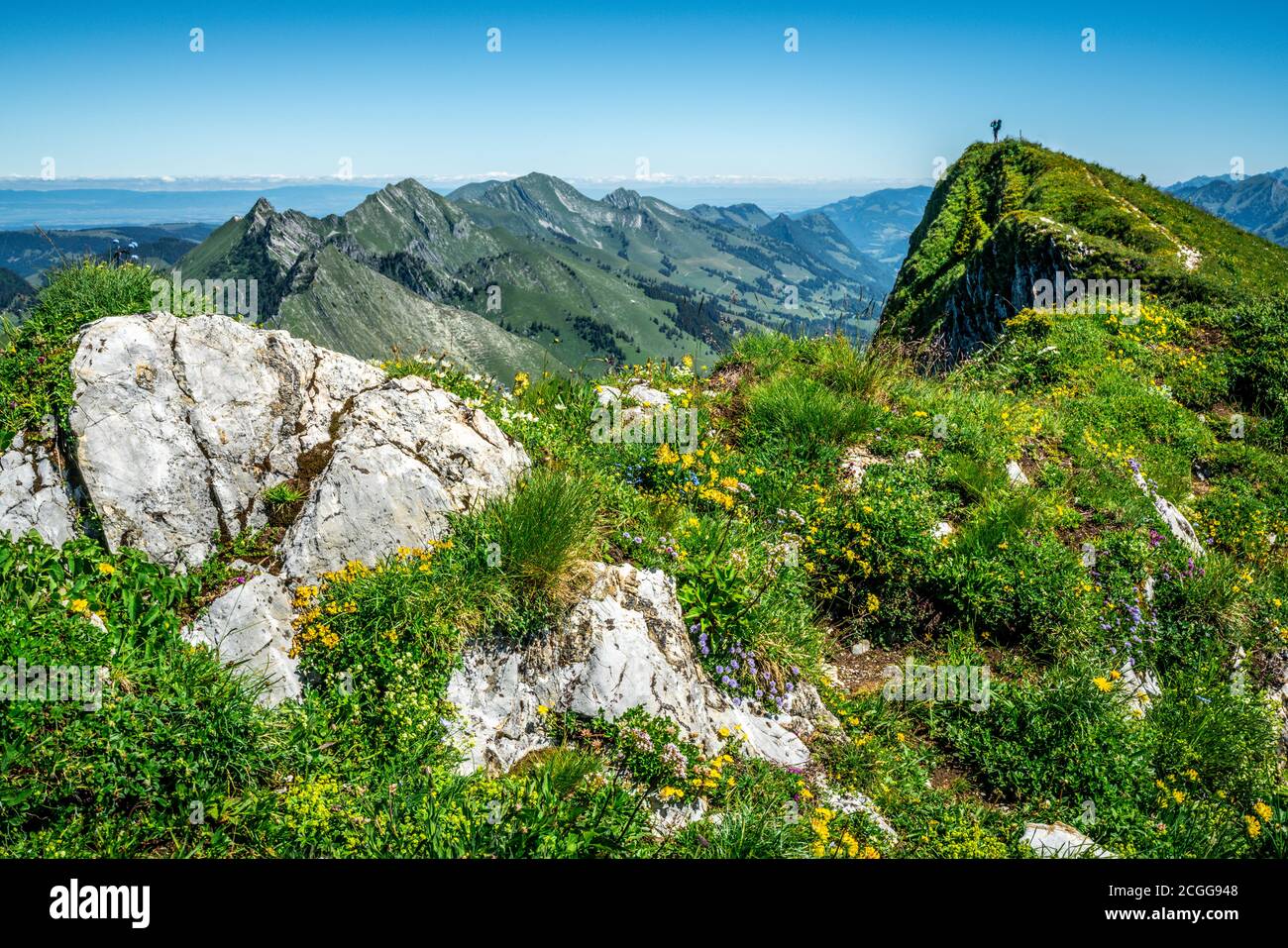 Switzerland nature biodiversity hi-res stock photography and images - Alamy
