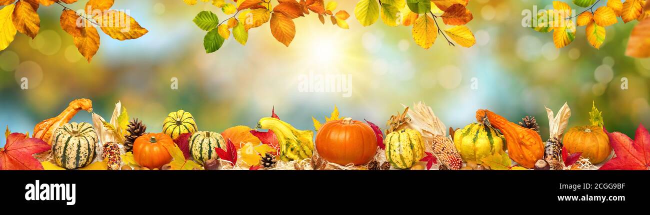 Colorful wide autumn bokeh background with rays of the sun and a frame ...