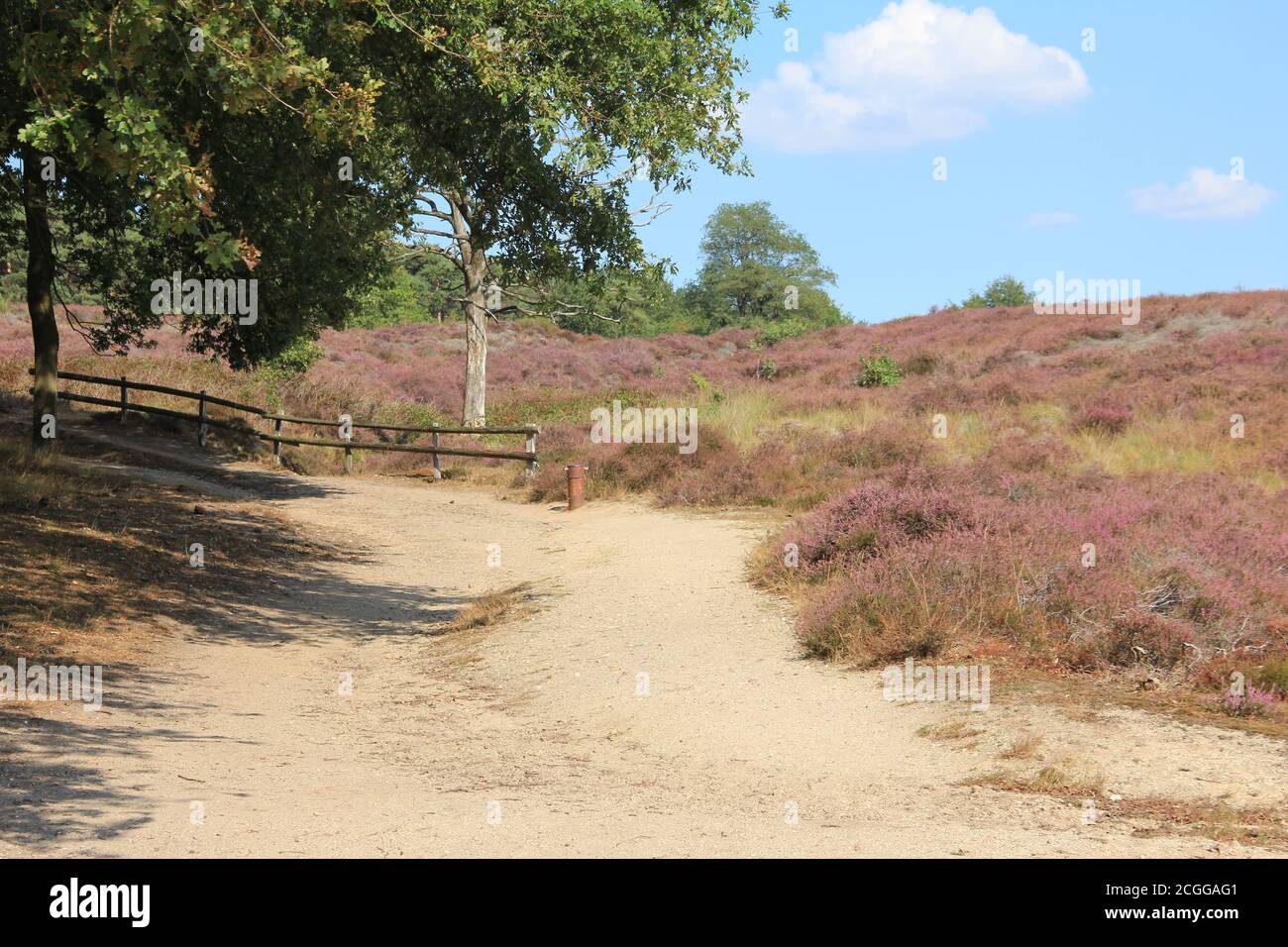 Mookerheide in Mook, the Netherlands Stock Photo - Alamy