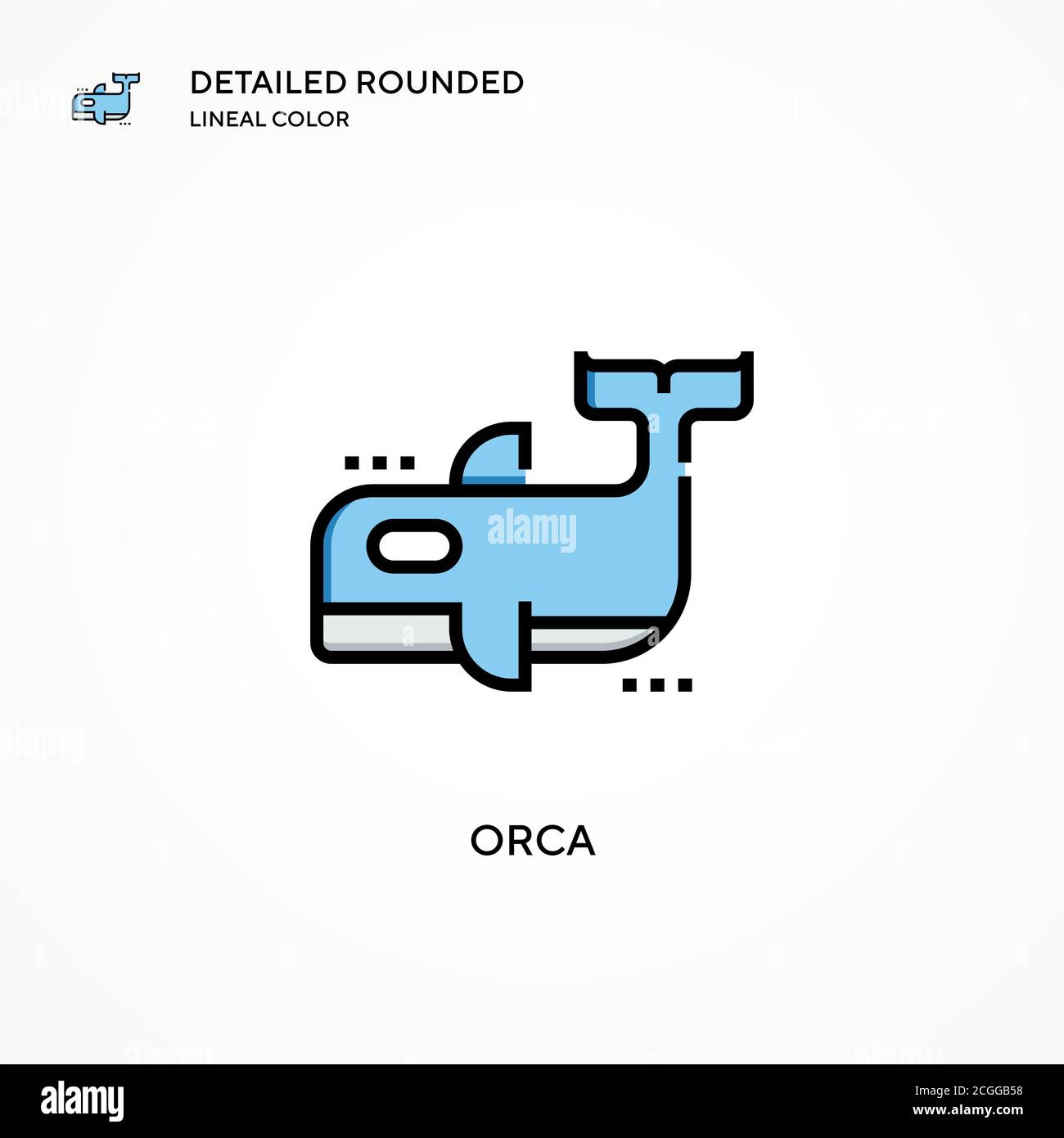 Transient killer whale orca orcinus orca Stock Vector Images - Alamy