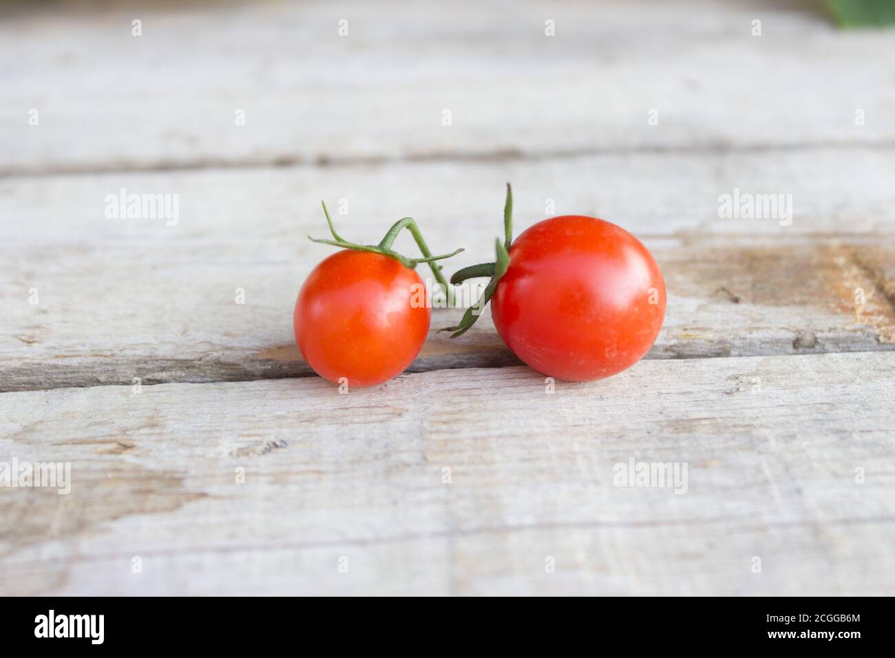 Small green tomato bunch hi-res stock photography and images - Alamy