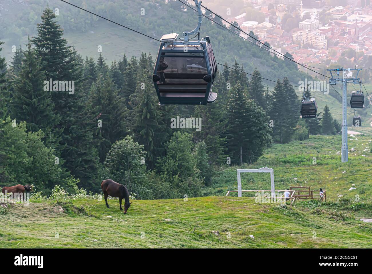 The cable car passes over a wild horse grazing the grass Stock Photo ...