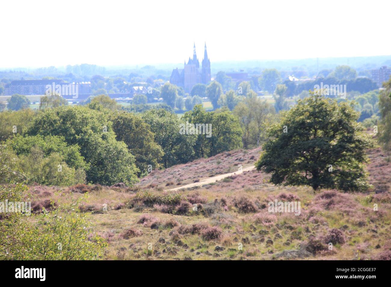 Mookerheide in Mook, the Netherlands Stock Photo - Alamy