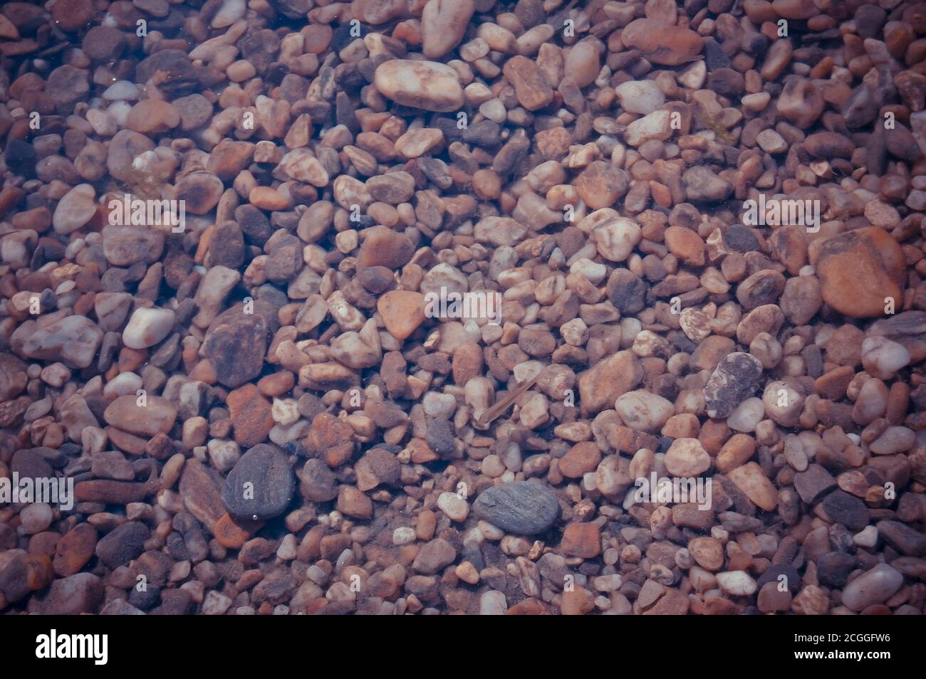 Small fish in the clear river water with pebbles on the river bed Stock ...