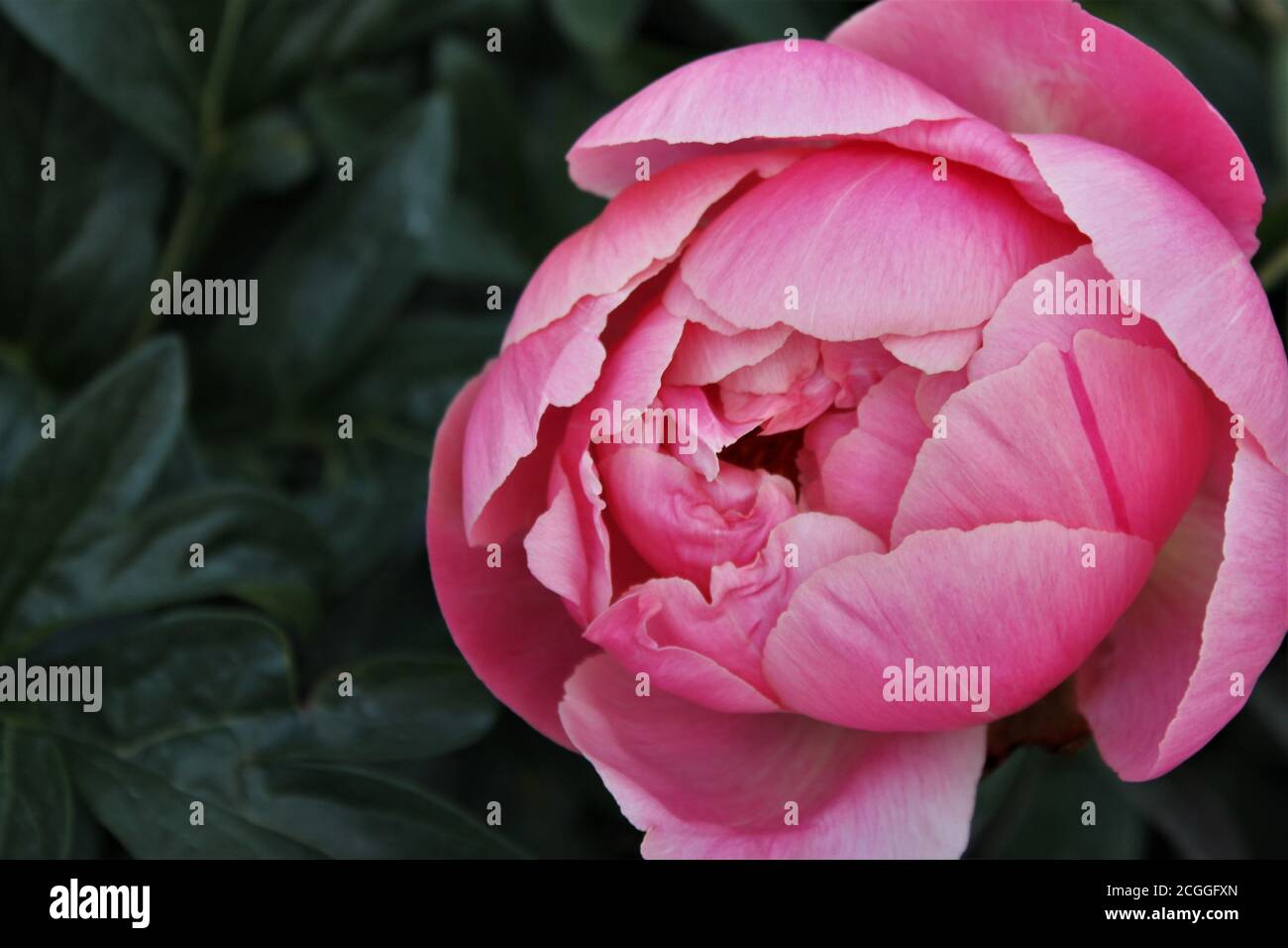 Queeenstown hi-res stock photography and images - Alamy