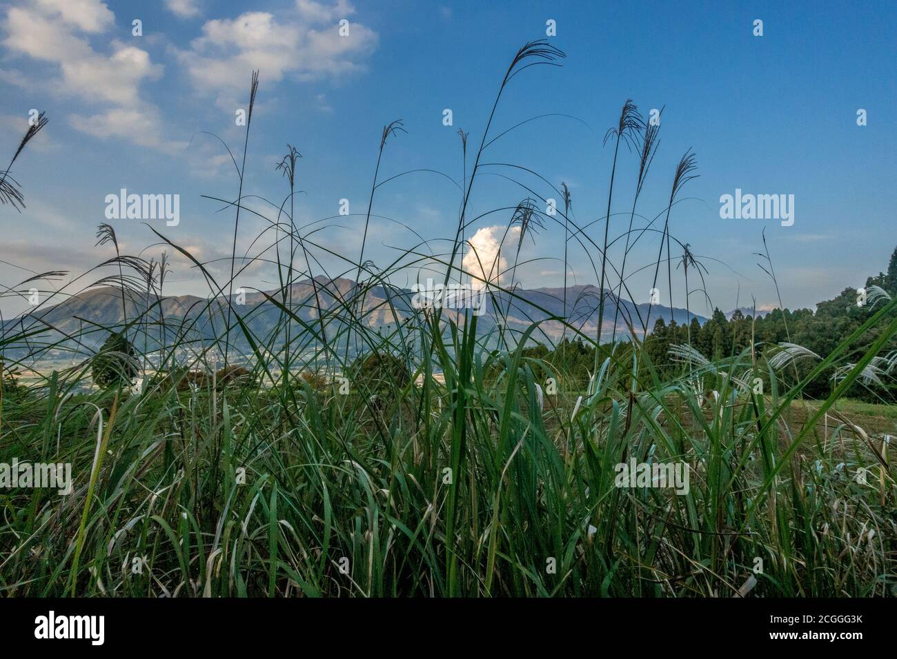 mount aso, japan Stock Photo - Alamy