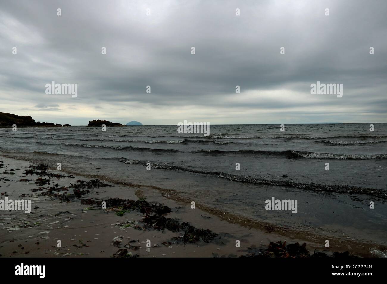Seaweed strewn beach and stormy sky at dusk Stock Photo - Alamy