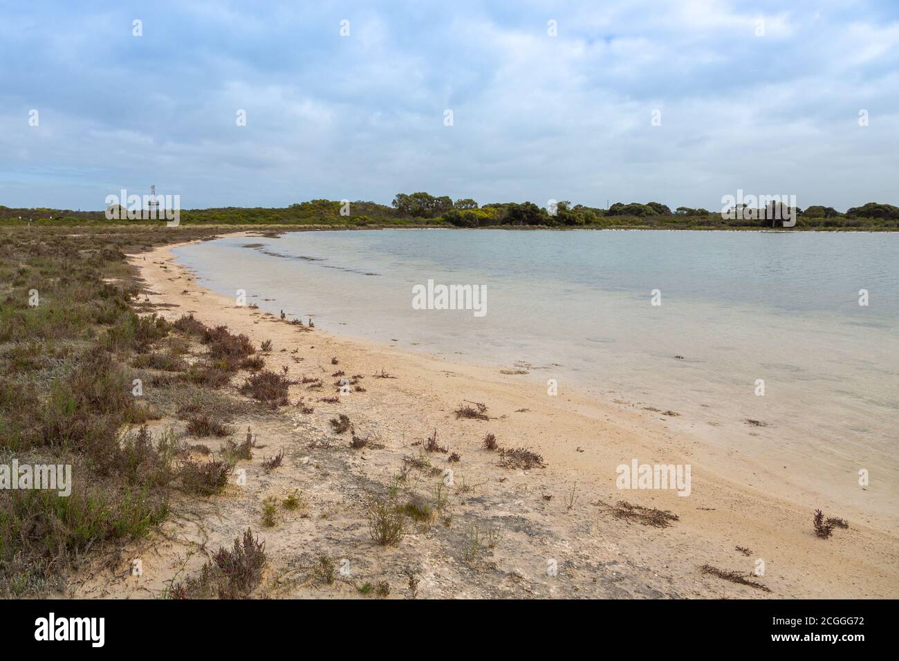 Thetis lake hi-res stock photography and images - Alamy