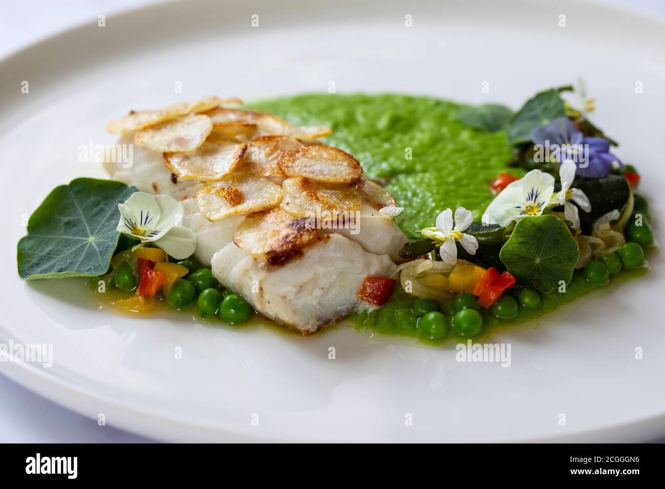 White fish fillet with potato scale, pea puree and summer vegetable ...