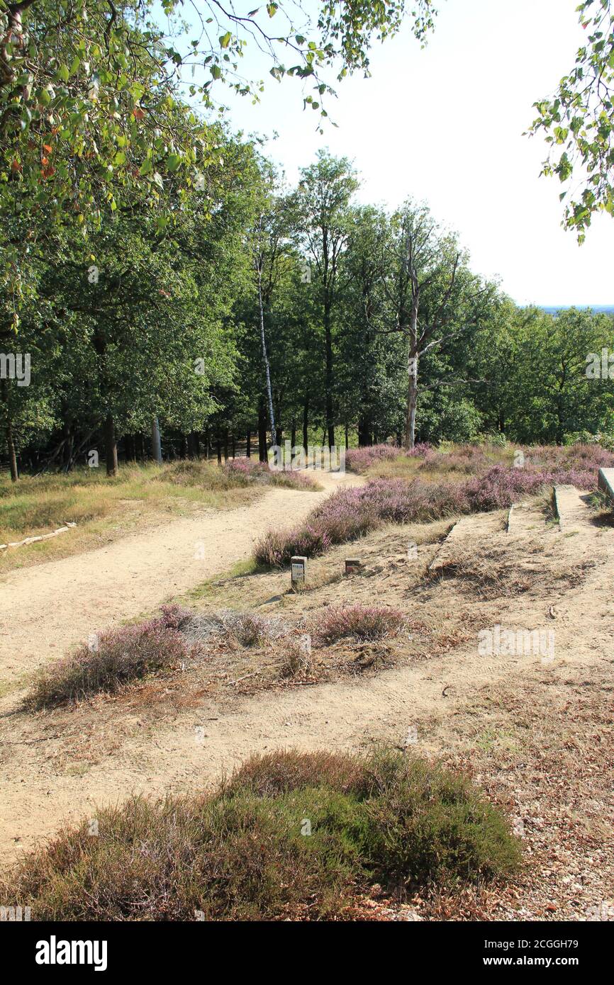 Mookerheide in Mook, the Netherlands Stock Photo - Alamy