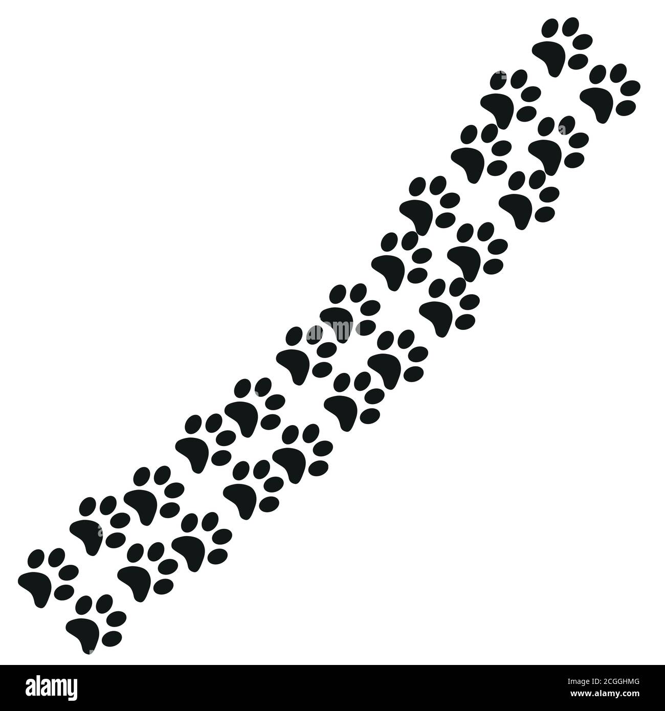 Footpath trail of animal. Dog or cat paws print isolated on white ...