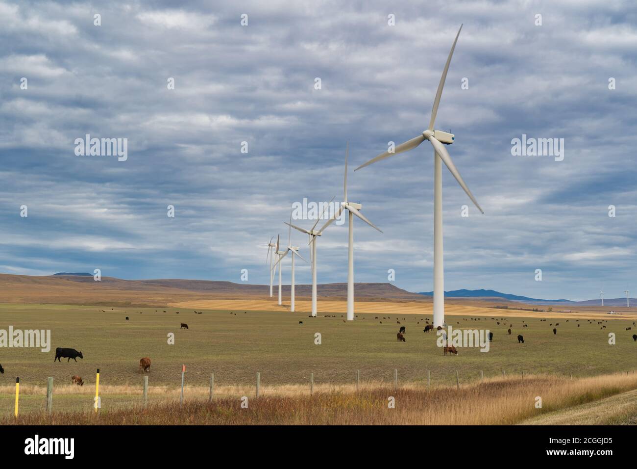 Vast agricultural fields in rural hi-res stock photography and images ...