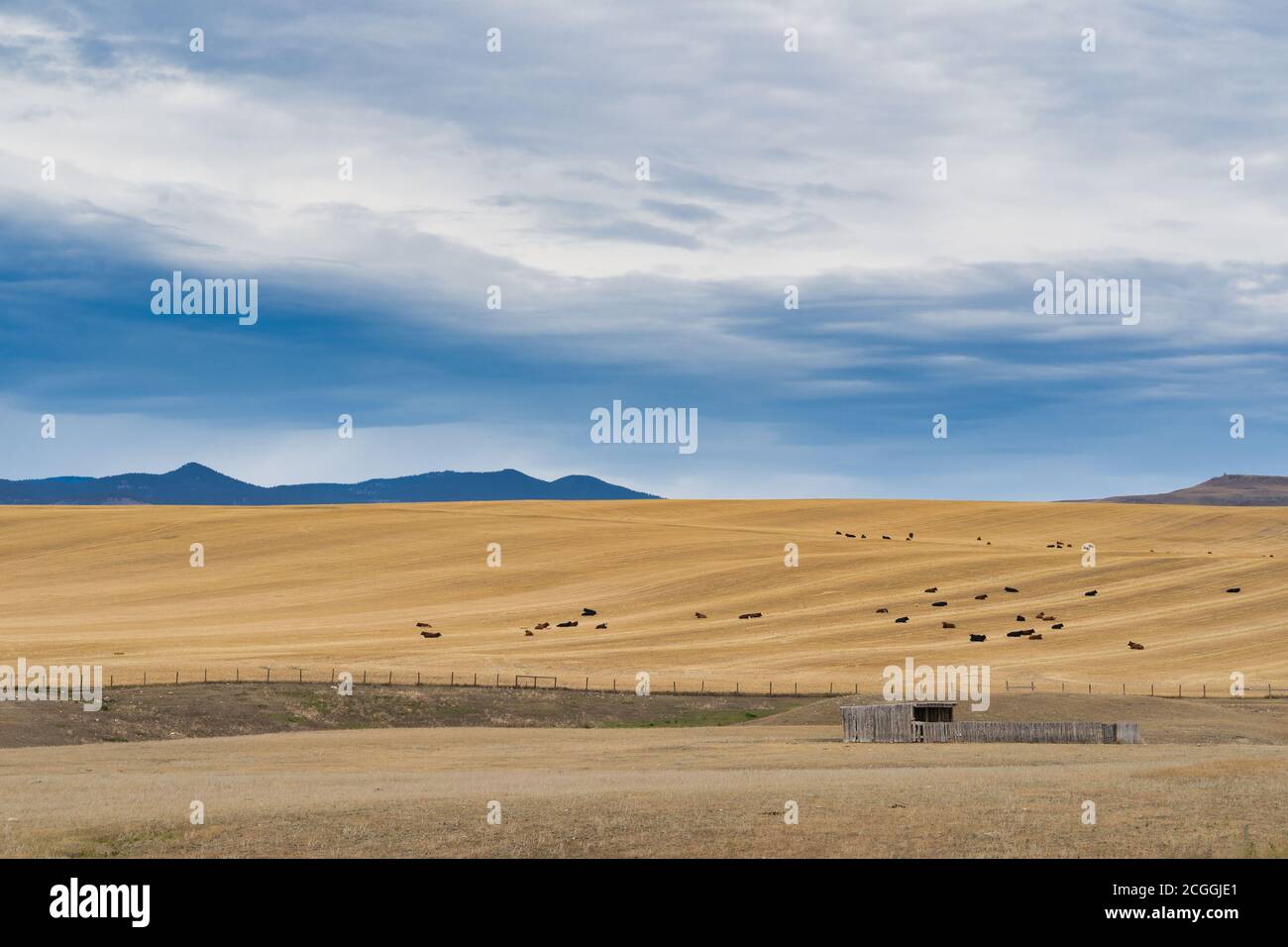 Canadian prairie farm hi-res stock photography and images - Alamy