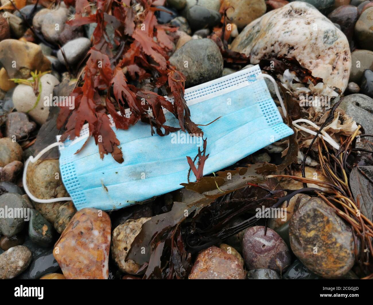 Covid 19 protective mask found washed up on UK beach in 2020 ...