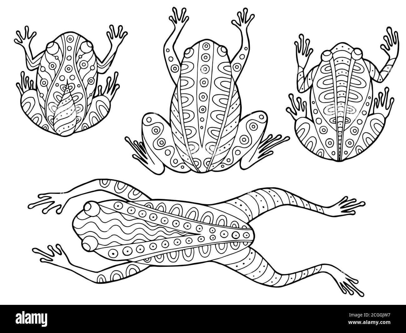 Frog line art hi-res stock photography and images - Alamy