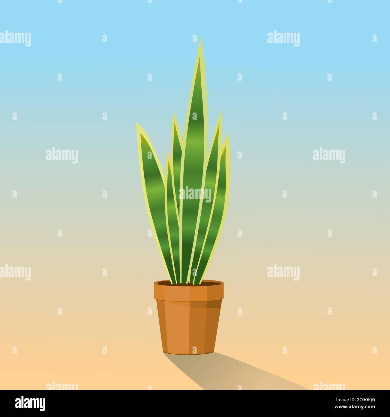 Home plant in flowerpot Stock Vector Images - Alamy