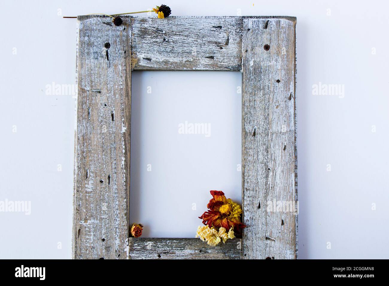 Empty photo frame dry hi-res stock photography and images - Alamy