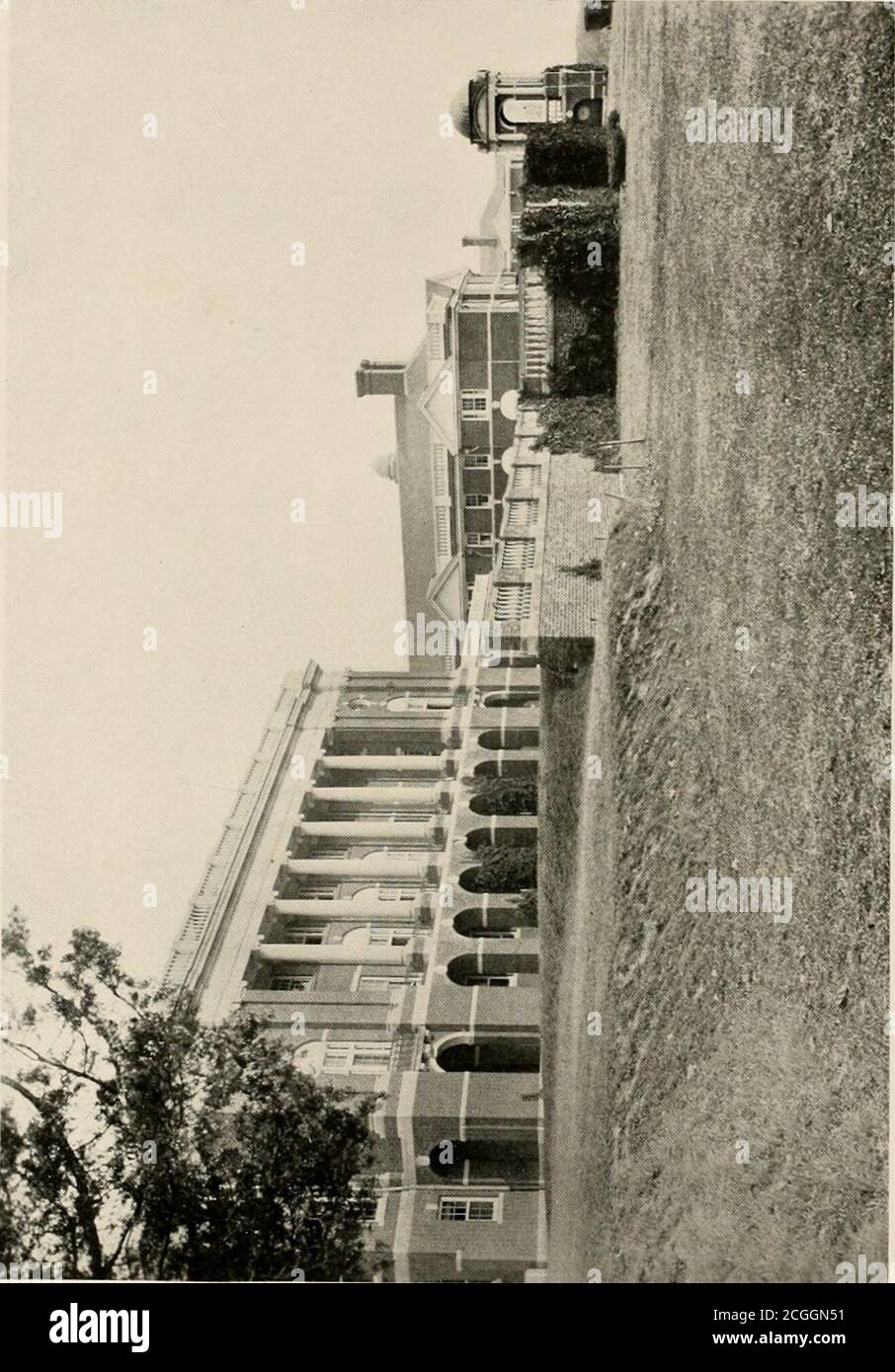 . The Briar patch Stock Photo - Alamy