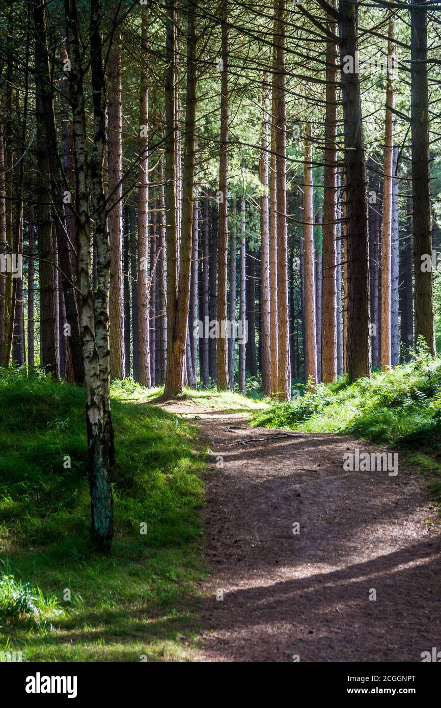 Many paths hi-res stock photography and images - Alamy