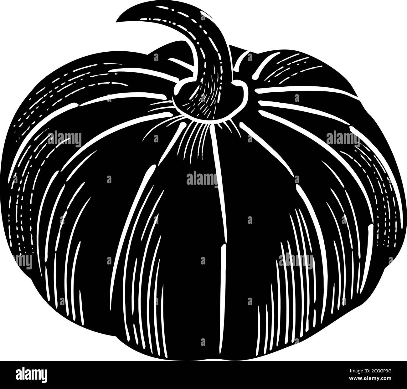 Pumpkin icon, Harvest Thanksgiving sketch vector illustration Stock ...