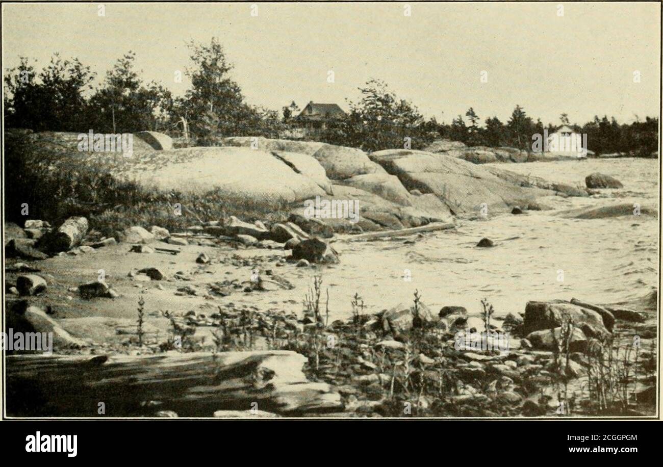 Didymops transversa hi-res stock photography and images - Alamy