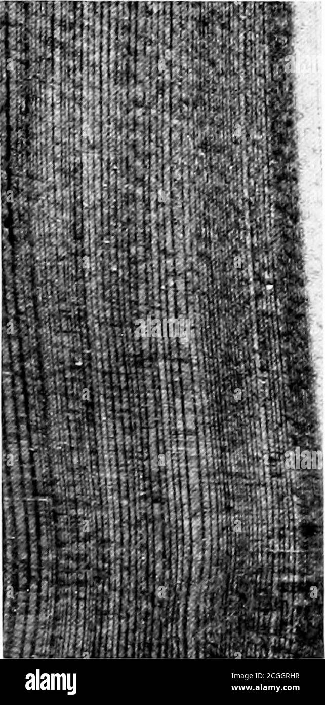 Is Wood Non Porous at Nora Weeks blog