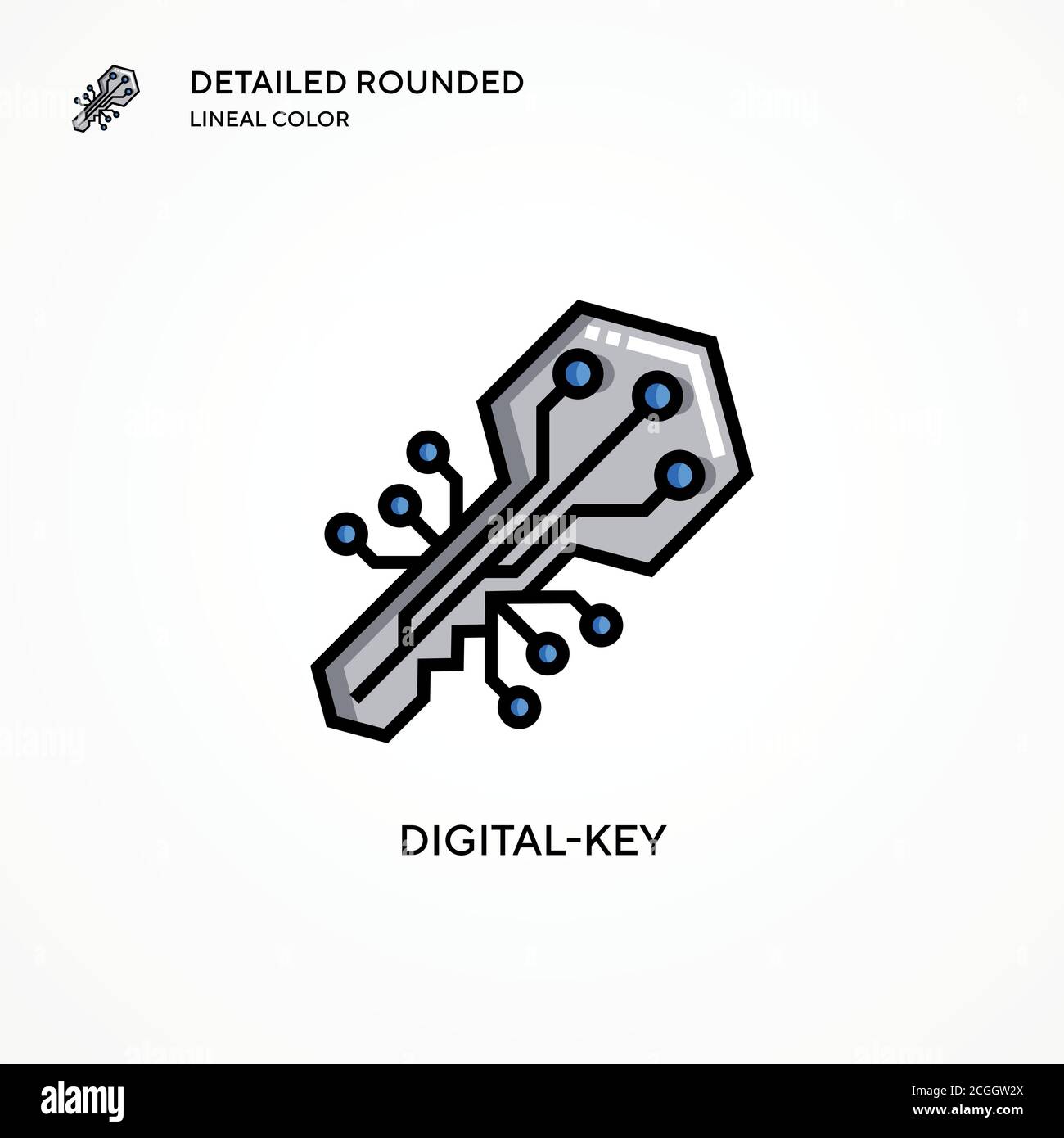 Digital-key vector icon. Modern vector illustration concepts. Easy to ...