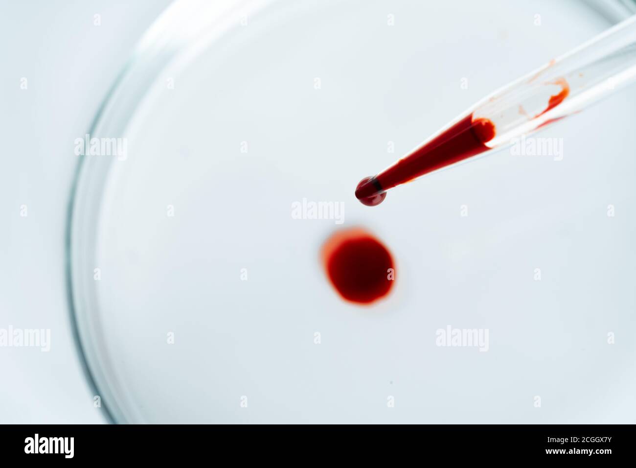 Glass dropper and Petri dish on laboratory table Stock Photo - Alamy