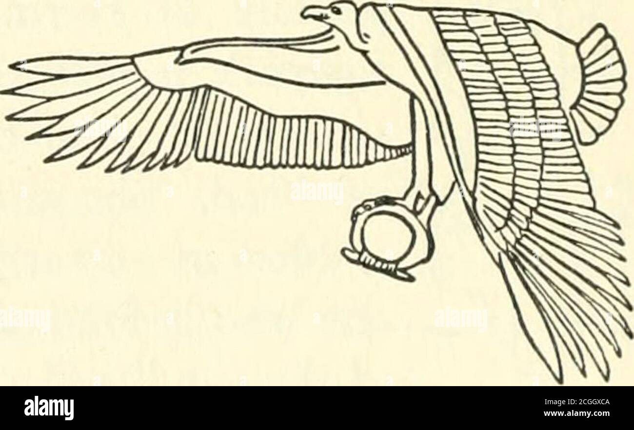 Egyptian goddess neith hi-res stock photography and images - Alamy