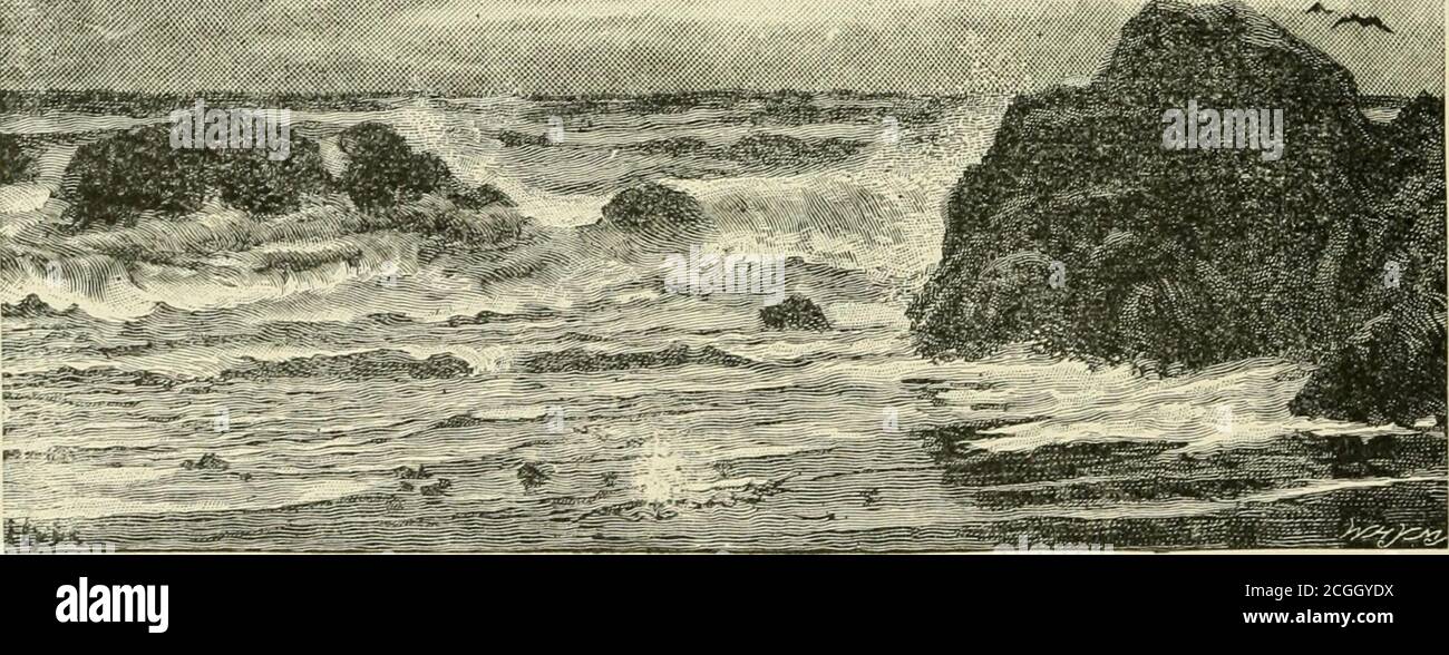 Ox goad hi-res stock photography and images - Alamy