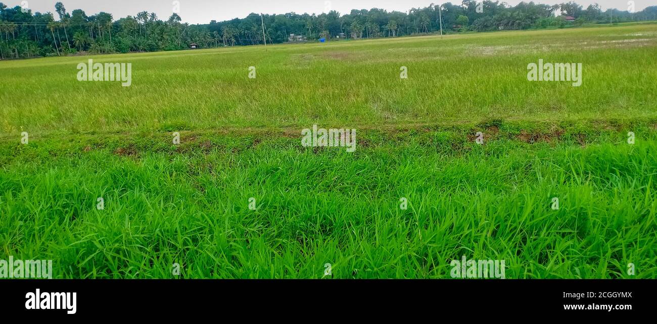Farmer kerala hi-res stock photography and images - Alamy