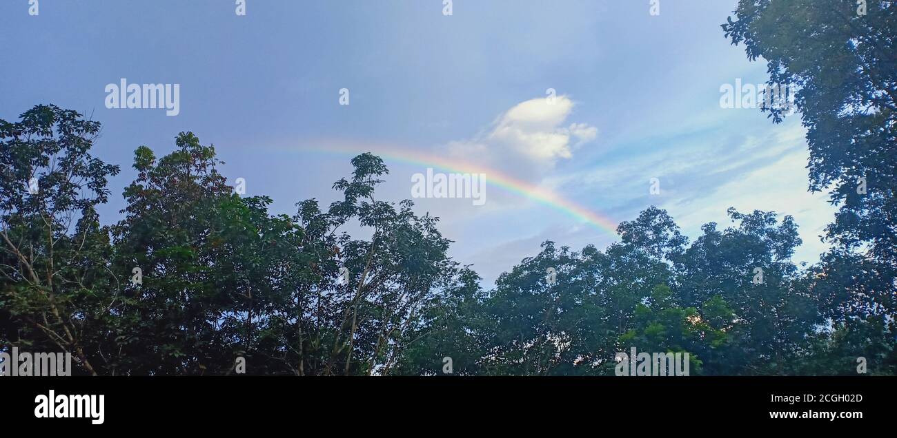 rainbow and tree branches in kerala Stock Photo - Alamy