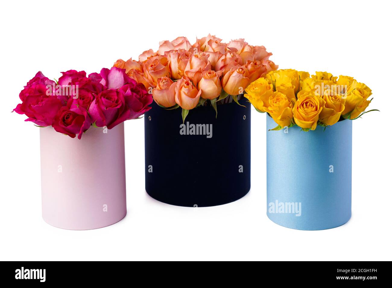 Beautiful boxes with fresh roses isolated on white background Stock ...