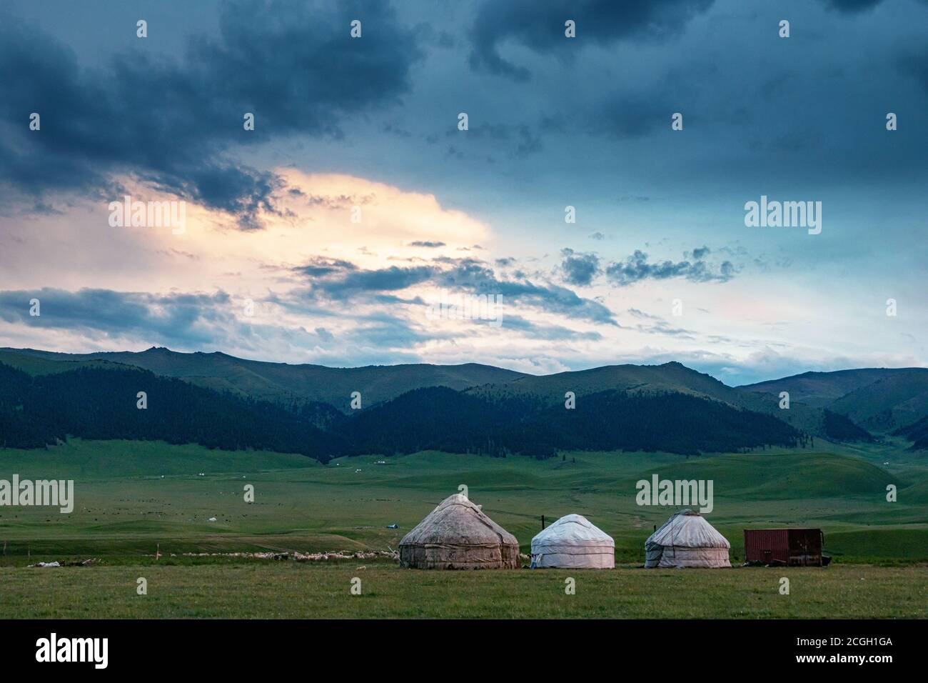 Yurts. Traditional dwelling of nomadic peoples. Traditional pasture in ...