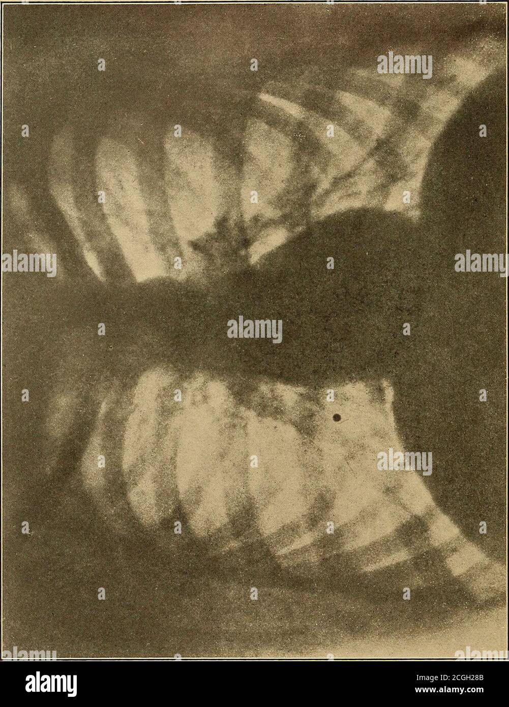 Appreciation and sincerity hi-res stock photography and images - Alamy