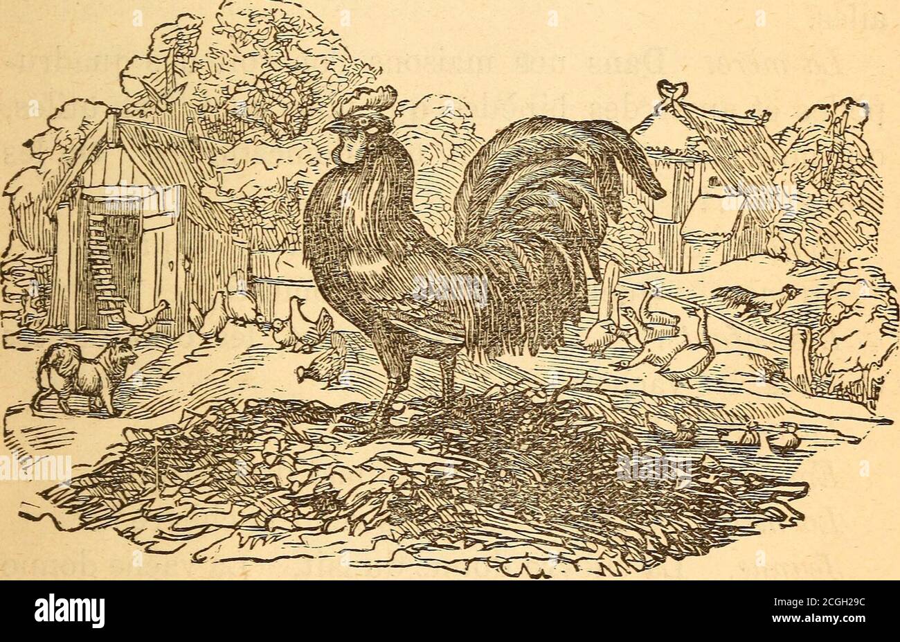 Quelle couleur hi-res stock photography and images - Alamy