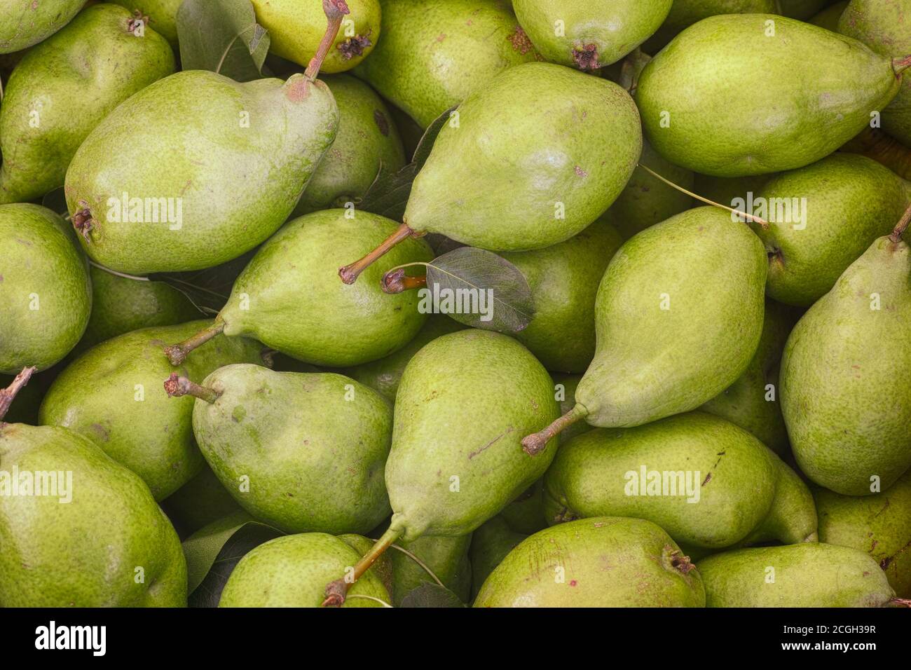 Raw organic green pears. Close up Stock Photo - Alamy