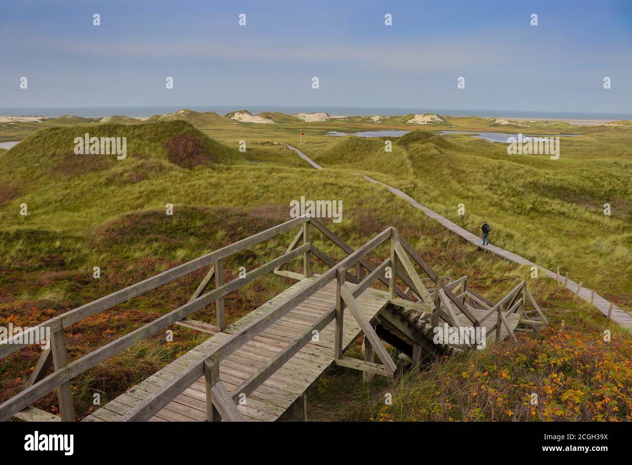 Confusing path hi-res stock photography and images - Alamy