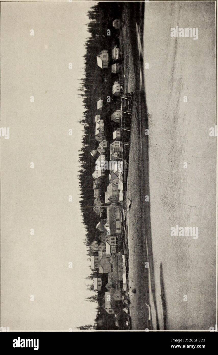 Menhaden fish guano hi-res stock photography and images - Alamy