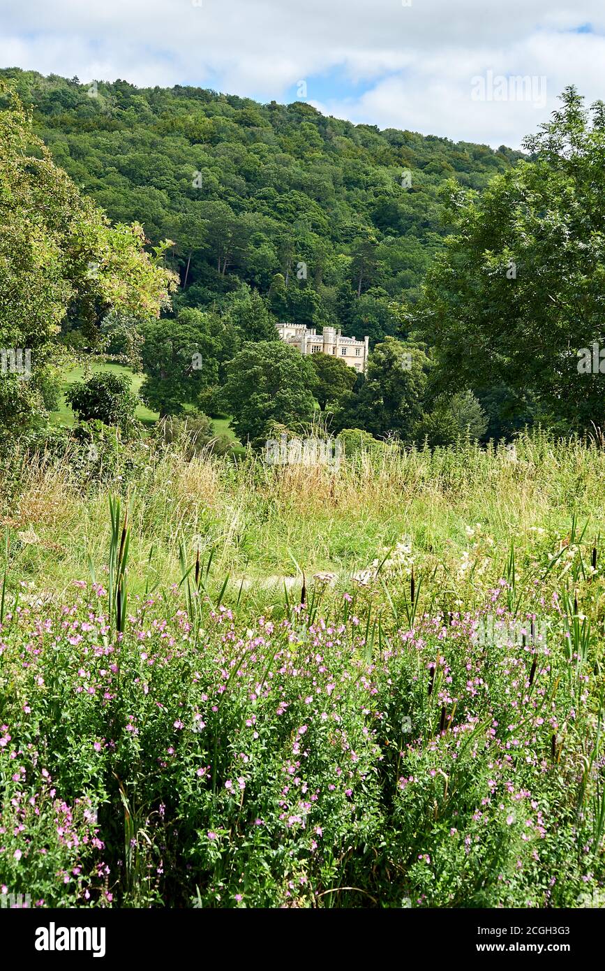 House hidden by trees new england hi-res stock photography and images ...