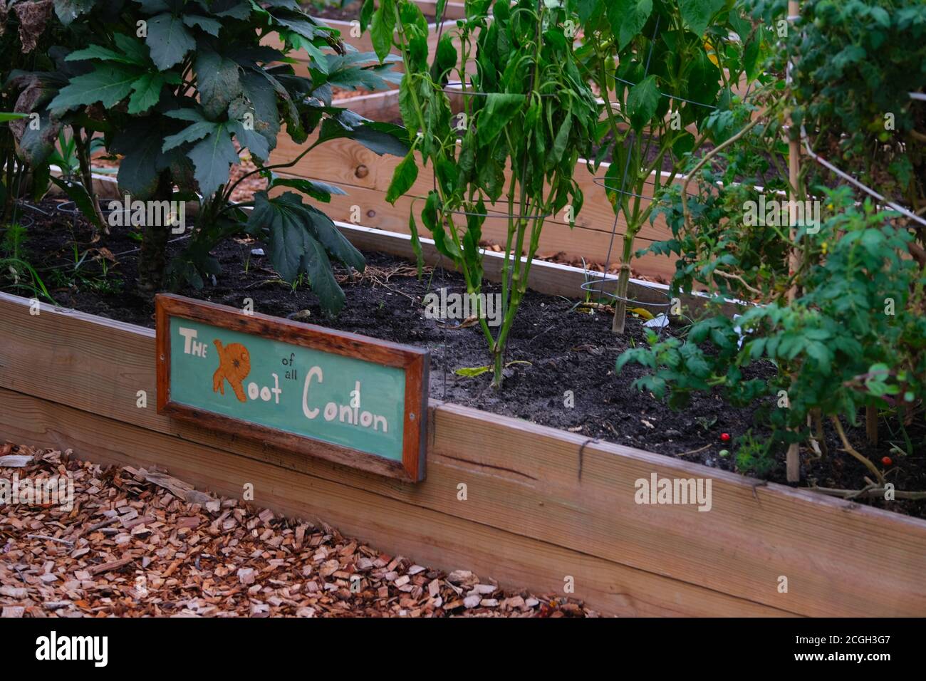 Urban Rain Gardens Are Very Popular (There Are 4 in My Immediate Area ...