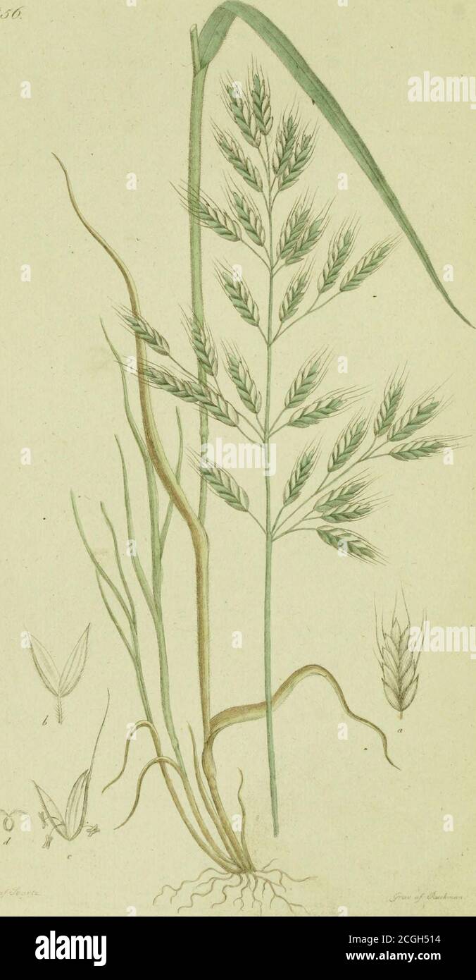 Koka vatten hi-res stock photography and images - Alamy