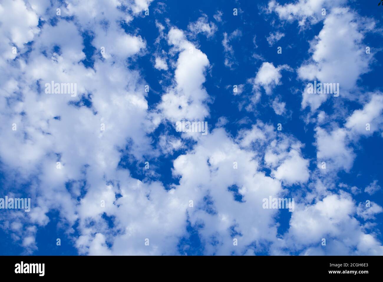 Blue sky with cloud closeup. View Of Clouds In Sky Stock Photo - Alamy