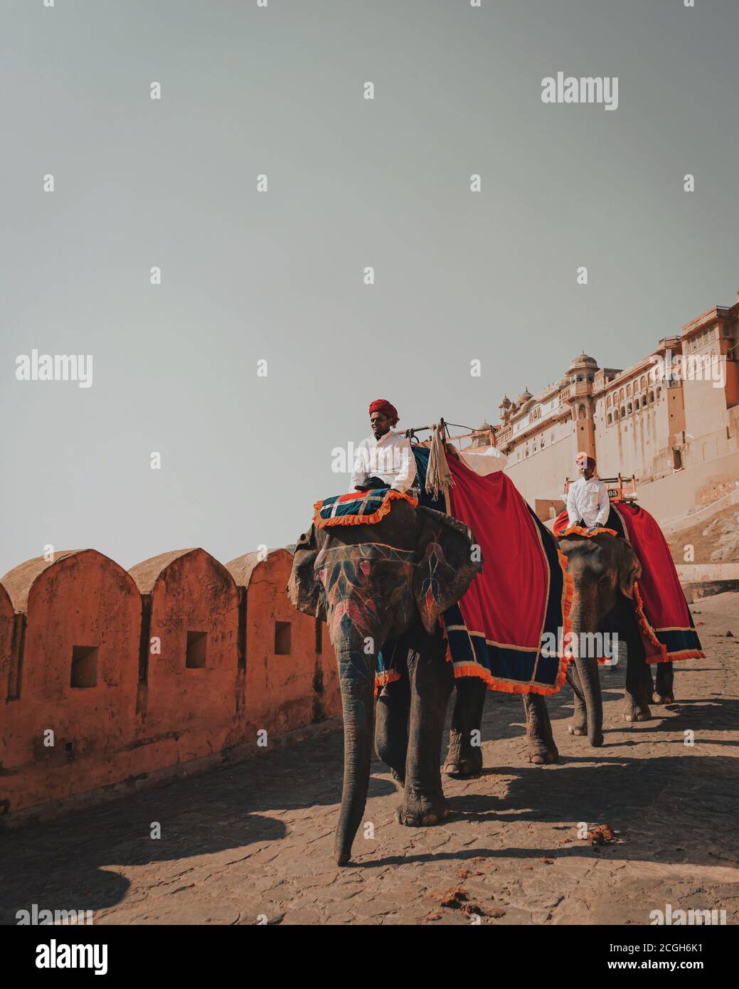elephant rides at amer fort Stock Photo - Alamy
