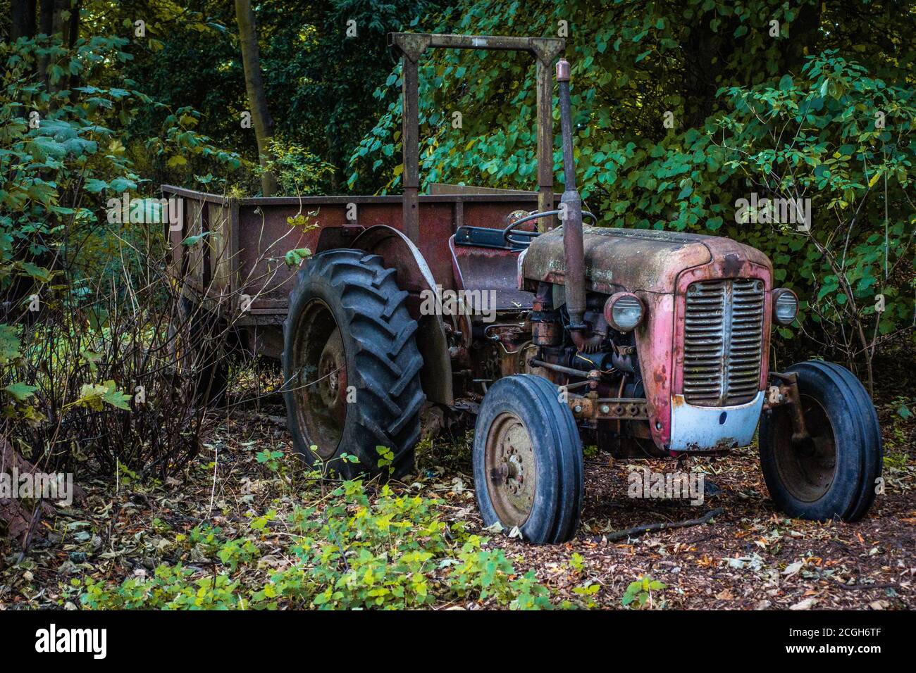 Abandoned old red 50's farm tractor with trailer Stock Photo - Alamy
