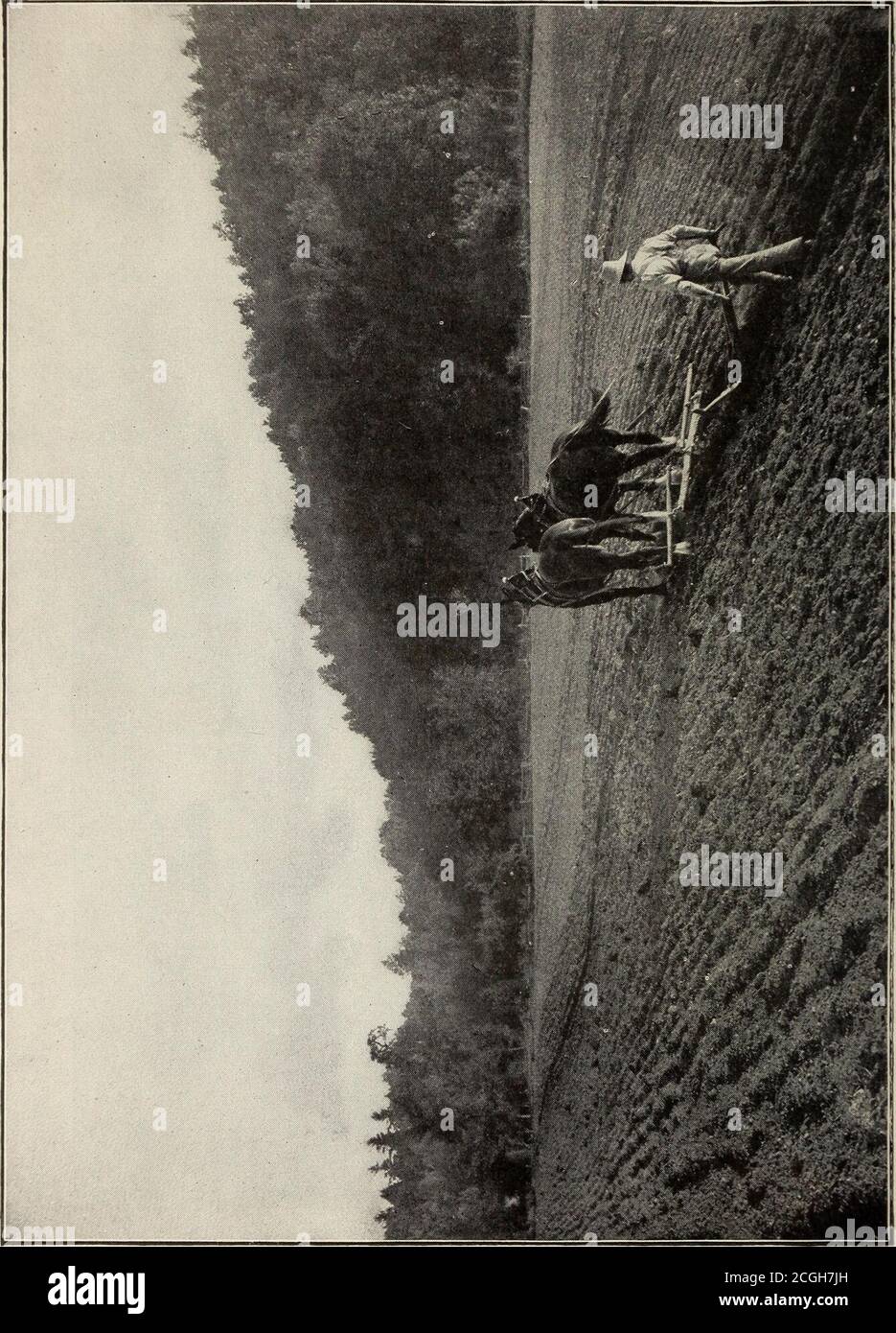 Systematic farming hi-res stock photography and images - Alamy