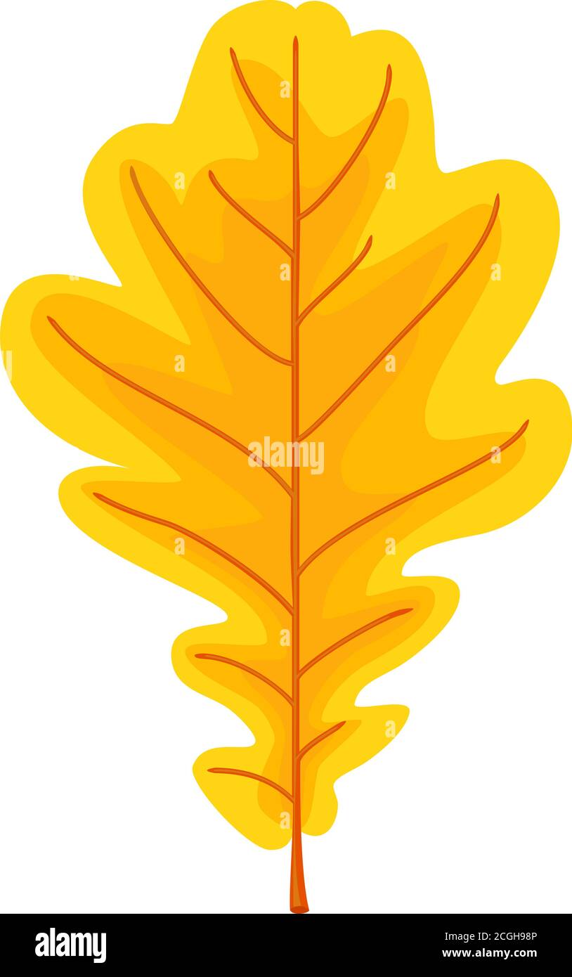 Cartoon yellow oak leaf Stock Vector Image & Art - Alamy