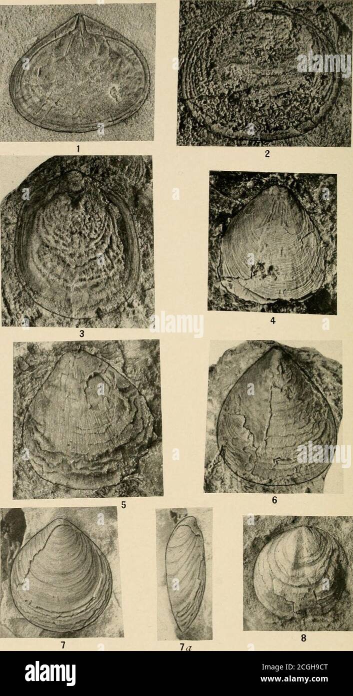 Ozarkian hi-res stock photography and images - Alamy