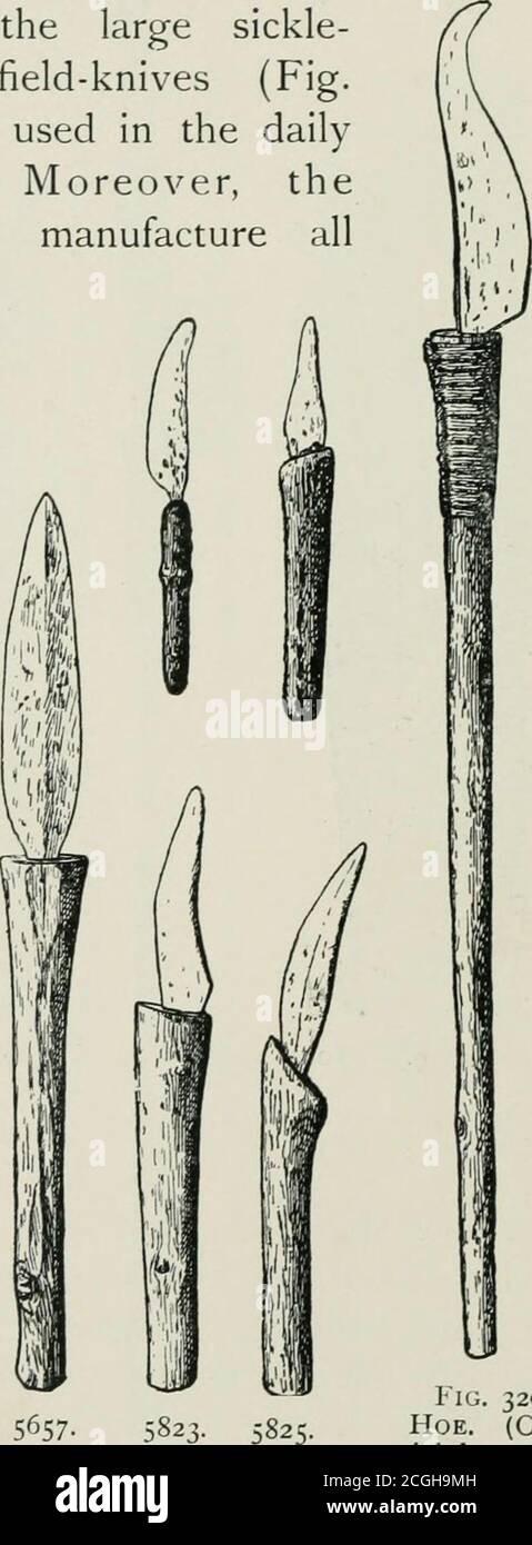 Sickle shaped knives hi-res stock photography and images - Alamy
