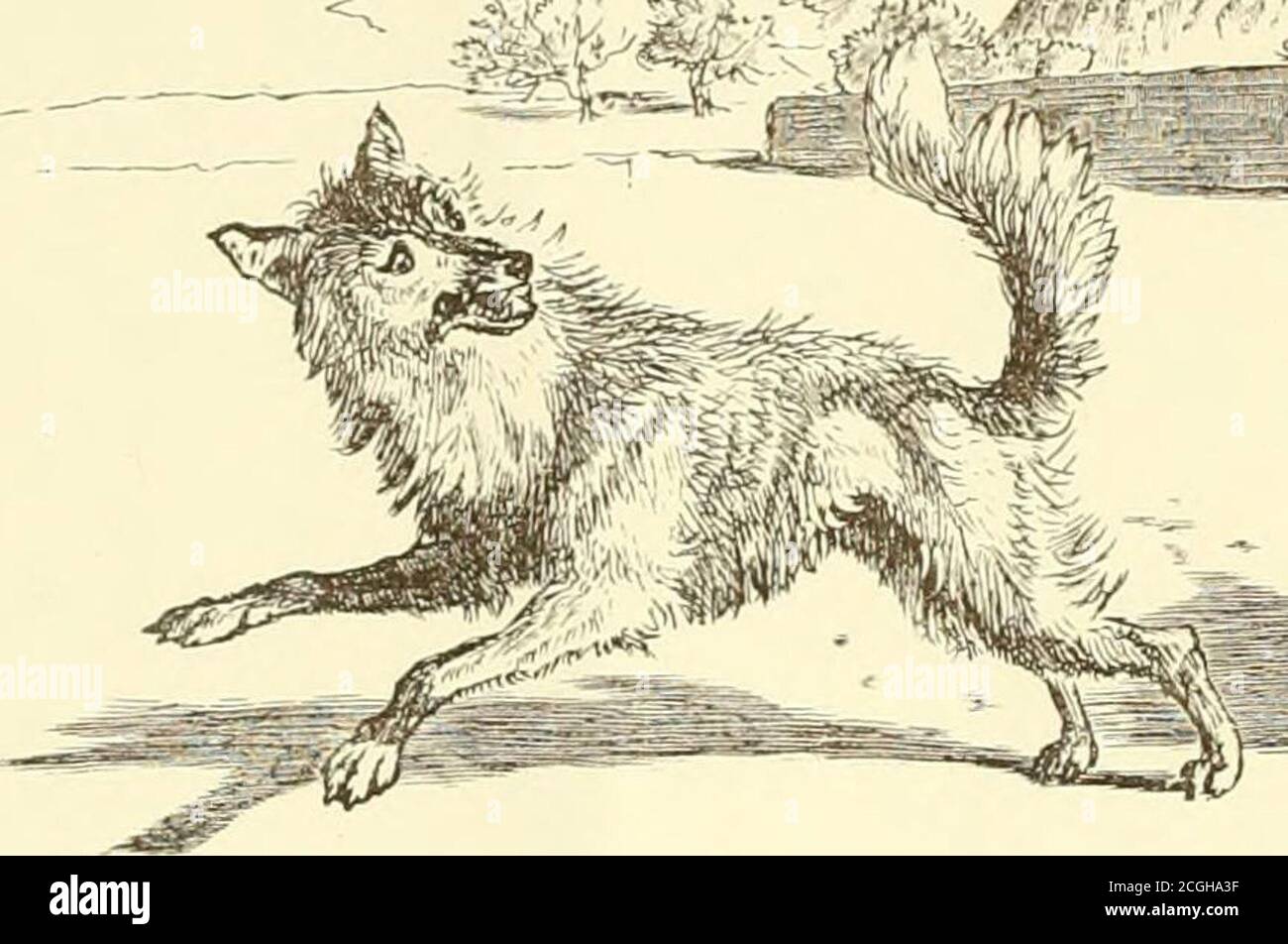 Some of Aesop's fables : with modern instances shewn in designs by ...